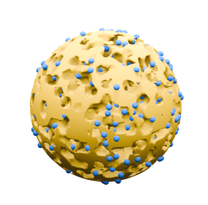 Silica Nanoparticle